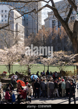 Columbus Park is popular in Chinatown, New York City, USA Stock Photo ...