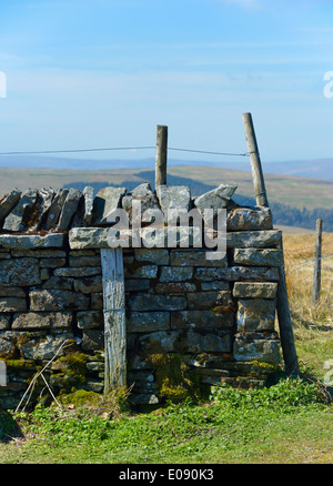 Corner of dry-stone wall. Killhope Cross. Killhope Head, Cumbria ...