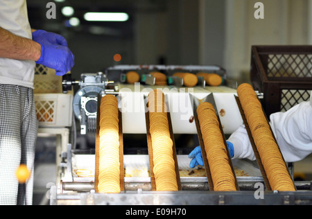 Germany, Food Industry, Cookie production in industrial bakery Stock ...