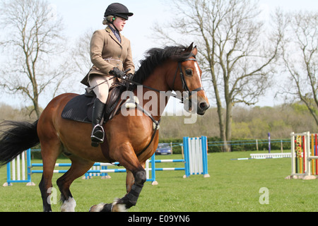 a horse galloping around show jumping ring with all four feet or hooves ...