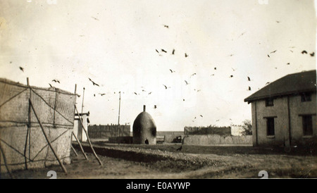 Edwin Newman's photograph captures the RAF's operations in the Middle ...