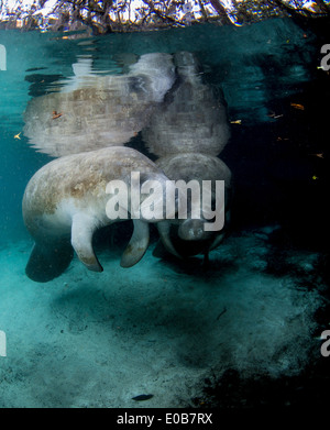 A smiling pair of sisters looking at the camera Stock Photo - Alamy
