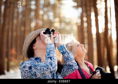 woman person birdwatching bird watch watching binocular hobby hobbies ...