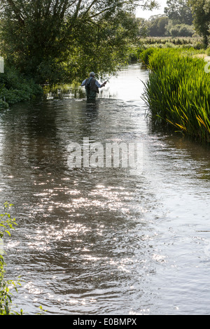 Fly fisherman, River Wylye, Wiltshire, England Stock Photo - Alamy