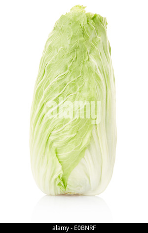 Green long cabbage Stock Photo - Alamy