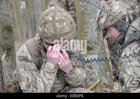 The BOWMAN family of tactical radios provides the British Army with HF ...