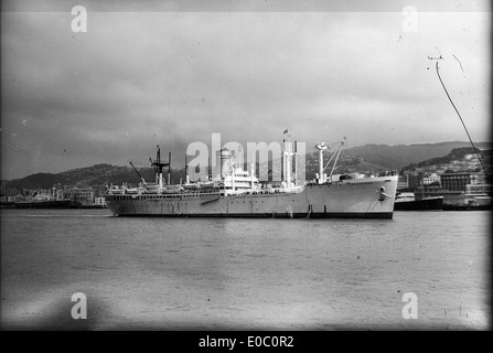Ship Groote Beer, ca 1950s Stock Photo - Alamy