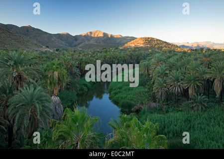 Mulege River and palm trees, Mulege, Baja California Sur, Mexico Stock ...