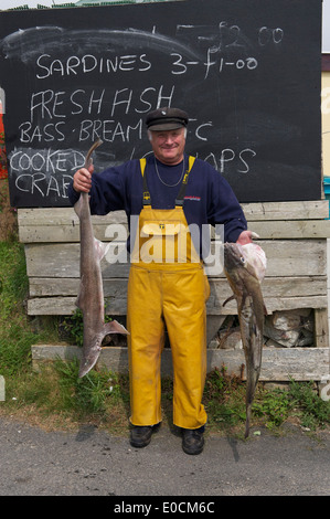 Cornwall, Fisherman, Fish Trader, Shark, Cod, Fish for Sale, Cornish ...