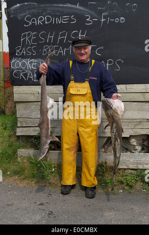 Cornwall, Fisherman, Fish Trader, Shark, Cod, Fish for Sale, Cornish ...