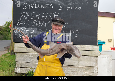 Cornwall, Fisherman, Fish Trader, Shark, Cod, Fish for Sale, Cornish ...