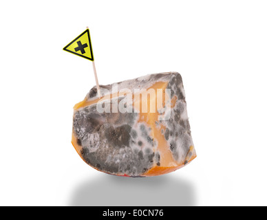 Piece of cheese gone bad isolated on white radioactive Stock Photo - Alamy