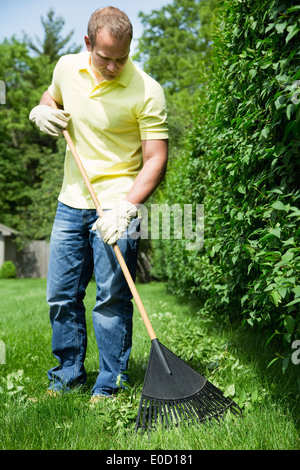 Man raking the lawn Stock Photo - Alamy