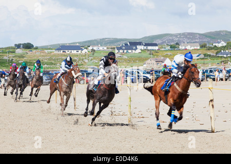The Omey Island horse races; County Galway, Ireland Stock Photo - Alamy
