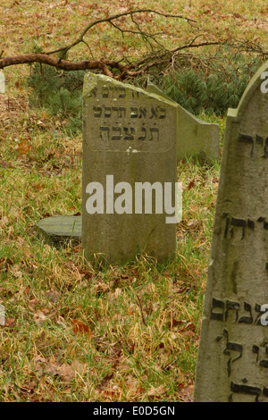 A broken gravestone on an old jewish graveyard Stock Photo - Alamy