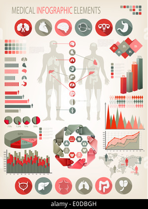 Medical infographics elements. Human body with internal organs. Vector ...