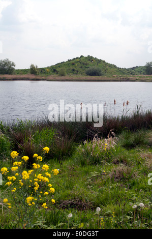 Middleton Lakes RSPB reserve, Warwickshire, England, UK Stock Photo - Alamy
