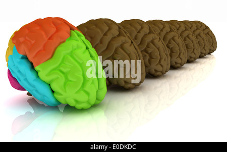 human brains isolated on white background 3d illustration Stock Photo ...