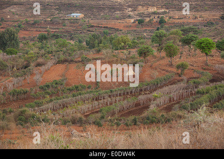 Koremi village, near Harar, in the Ethiopian Highlands of Africa Stock ...