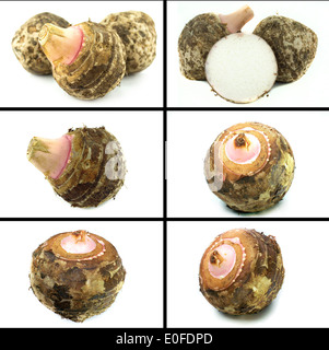 Healthy and organic taro root - Colocasia esculenta Stock Photo - Alamy