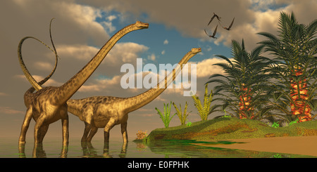 Diplodocus dinosaurs, illustration Stock Photo - Alamy