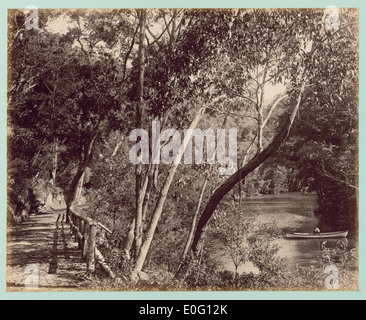A scenic photograph of Lady Carrington Road and the Tamur Brook bridge ...