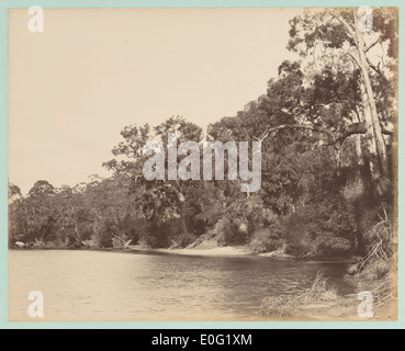 A scenic photograph of the Port Hacking River, showing fresh water near ...