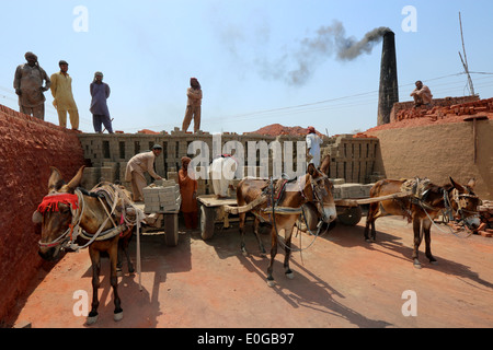 Donkey carts getting unloaded of bricks in a brick kiln of a brick ...