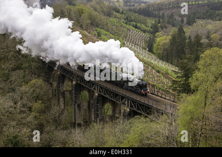 The Great Britain IV Tour Steaming Over Largin Viaduct, Cornwall Stock ...