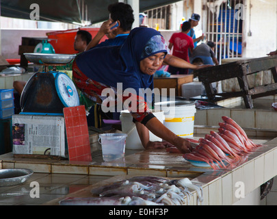 The morning FISH MARKET in KOTA KINABALU - SABAH, BORNEO, MALAYSIA ...