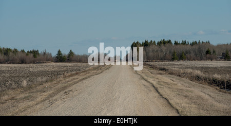 Dirt road passing through a prairie field, Manitoba, Canada Stock Photo ...