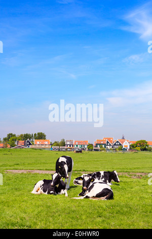 Dutch landscape with pasture and cattle cows Stock Photo - Alamy