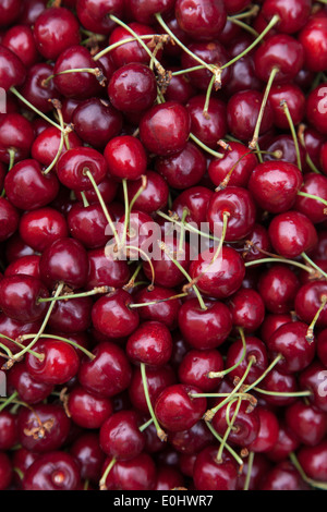 Lots of cherries. Red berries cherries. Cherry background Stock Photo ...