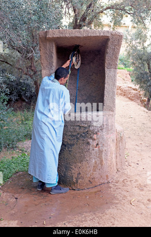 A bucket of water in the well. Getting water from a well Stock Photo ...