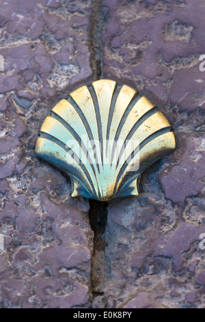 Camino de Santiago brass St James Scallop Shell on wet pavement in ...