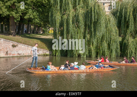 Punts on River Carn, Cambridge; England Stock Photo - Alamy