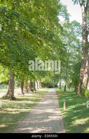 Embankment of River Cam, Cambridge; England; Britain; UK Stock Photo ...