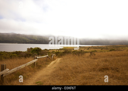 Wooden trail along the shore in Haeundae at Busan, South Korea Stock ...