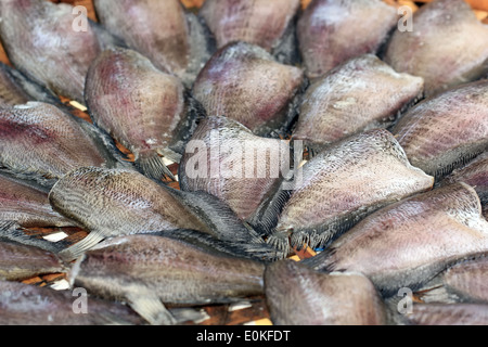 closeup of dried trichogaster fish at the market Stock Photo - Alamy