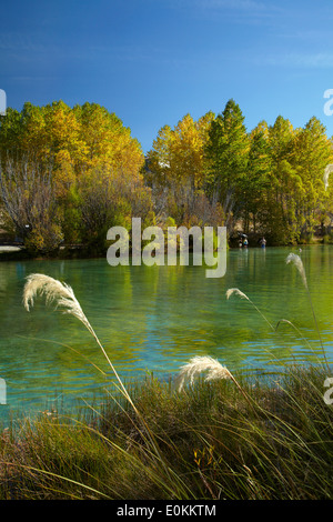 Ohau River in autumn, near Twizel, Mackenzie Country, South Island, New ...
