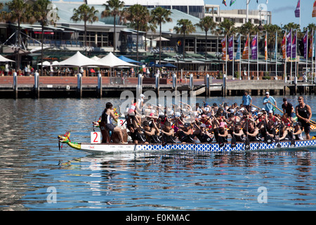 Dragon Boat Racing, Darling Harbor, Sydney, Australia Stock Photo - Alamy