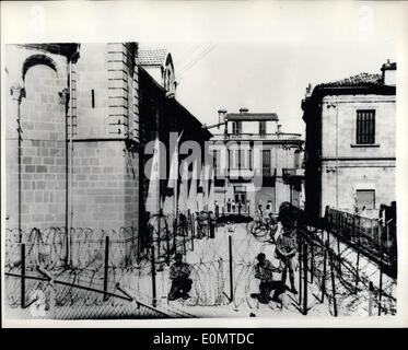 Barbed wire entanglements set up during World War One. This image ...