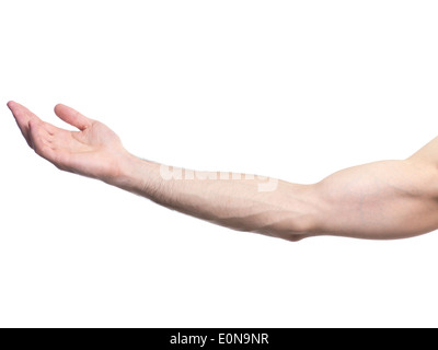 Side view of a man's upper body Stock Photo: 19318603 - Alamy