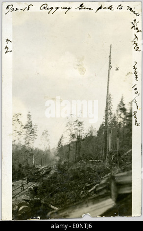 Rigging spar tree Stock Photo - Alamy
