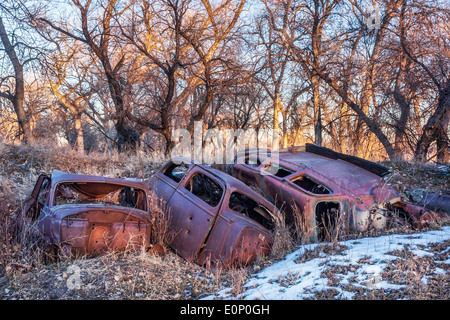 Old, junk cars in the woods Stock Photo - Alamy