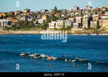 Bondi beach Australia and surfers on waves Stock Photo - Alamy