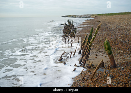 Ancient fish traps, from late Saxon early Tudor period, East Lane ...