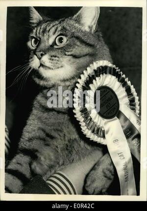 Champion cat at the National Cat Show held at the Crystal Palace and ...