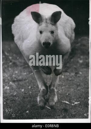 Aug. 08, 1958 - Action Stations: This amazing action shot was taken at ...