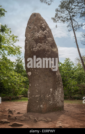 Carnac Brittany France. Geant du Manio. The neolithic menhir standing ...